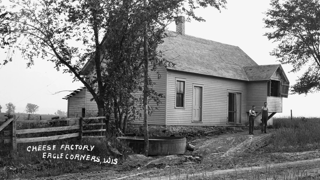Wisconsin’s cheese curd legacy and popularity
