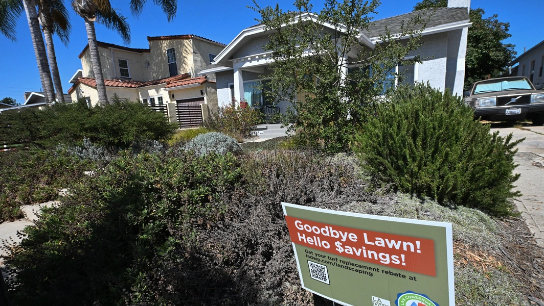 19 low-maintenance lawn alternatives for any climate