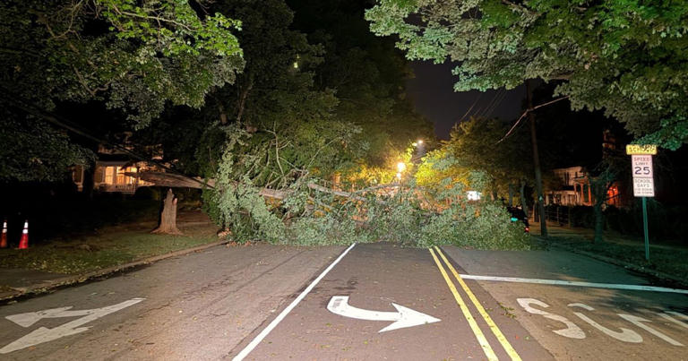 Strong overnight storms topple trees, knock out power for hundreds in ...