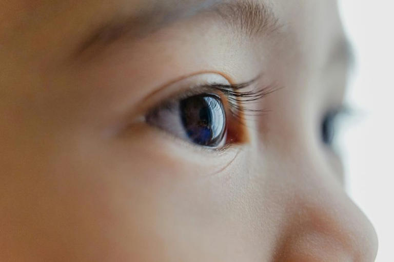 West Lothian eye experts encourage parents to prioritise children's eye ...