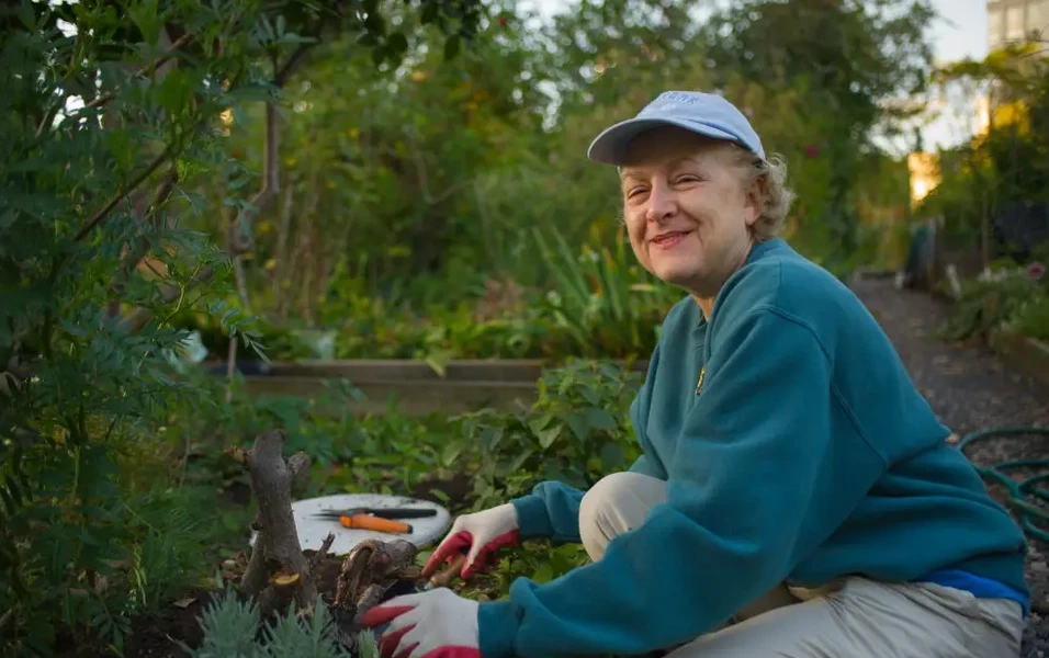 Hobbies and habits linked to slower brain aging in older adults