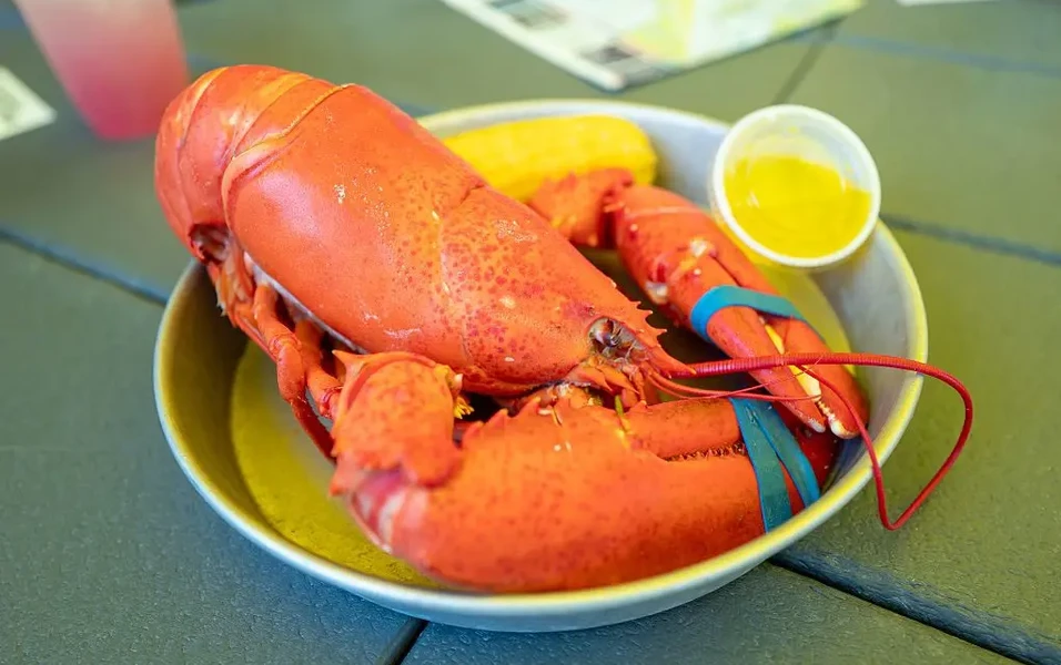 Maine’s Route 1 and scratch cooking spotlight America’s food heritage