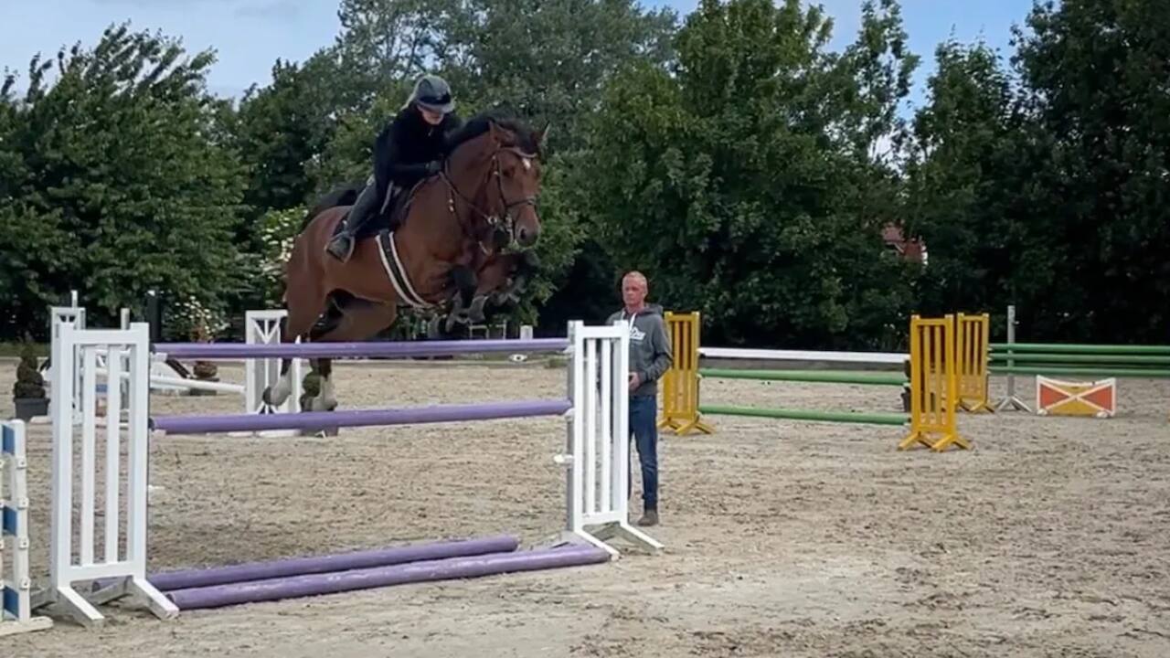 Im Video: Ein Besuch bei Springreiterin Tomma Thiesen auf Fehmarn