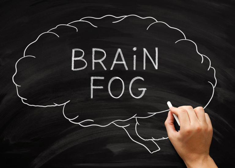 Is the heatwave giving you brain fog? Here’s why