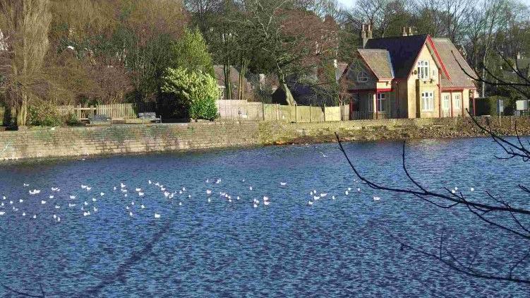 Appeal after teenage girl assaulted while running