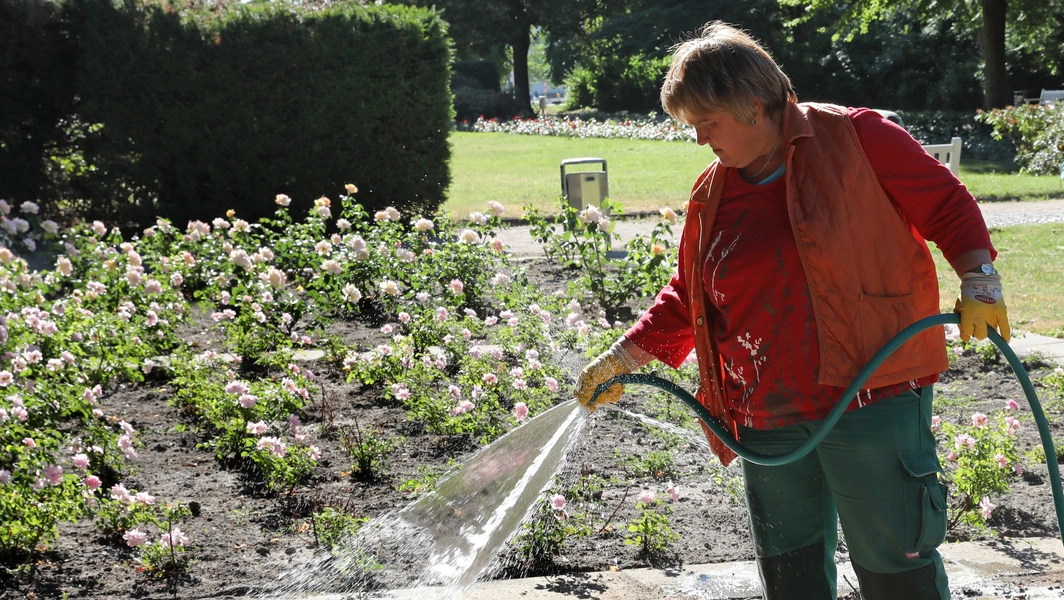 Reviving and protecting heat-stressed plants