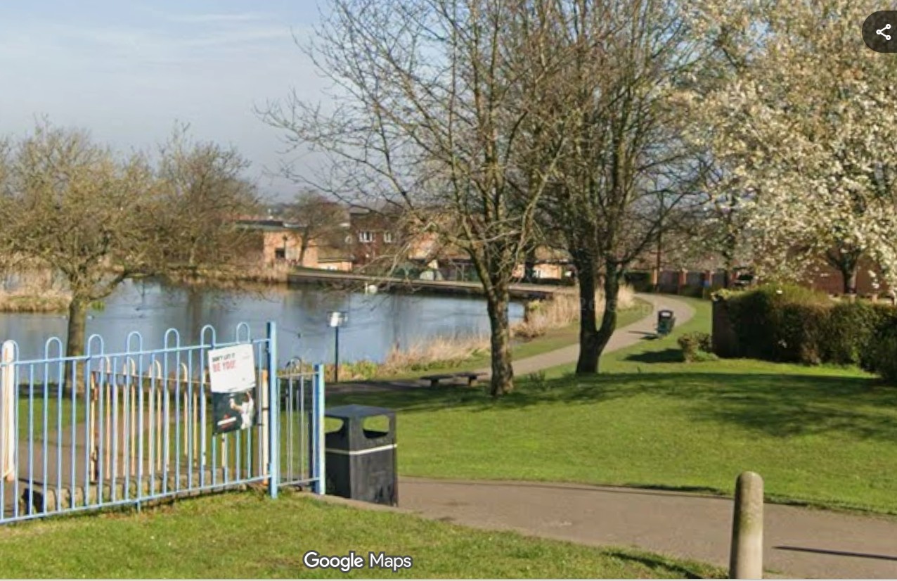 Police called over death of swans near popular Sheffield beauty spot
