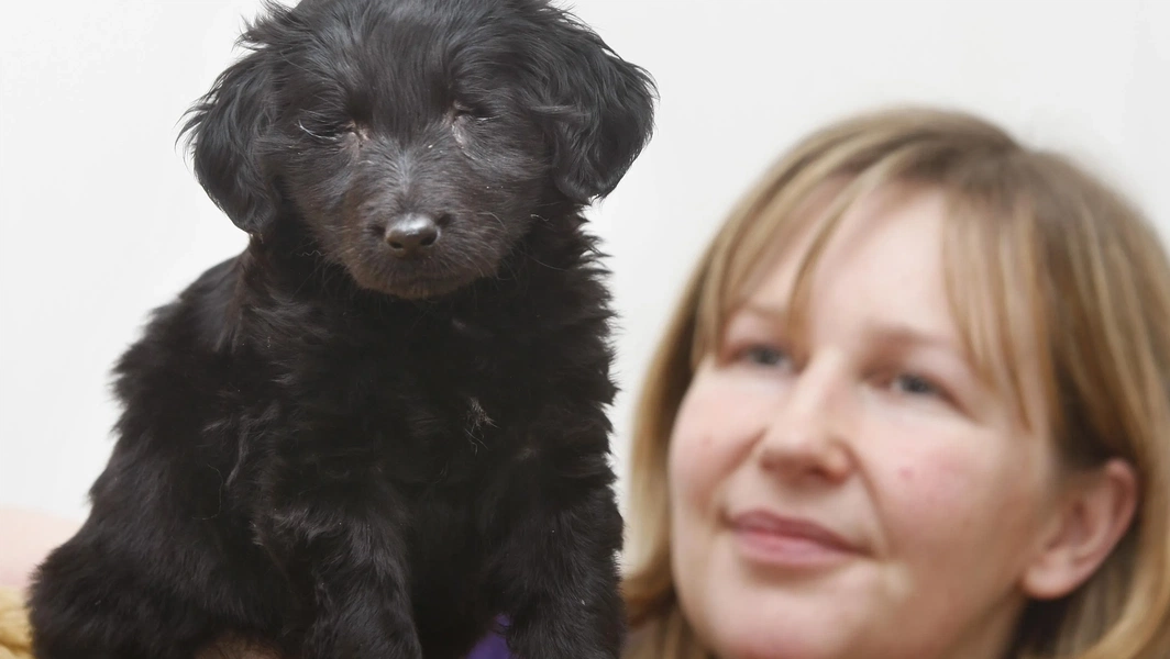 Adopting and caring for special-needs dogs