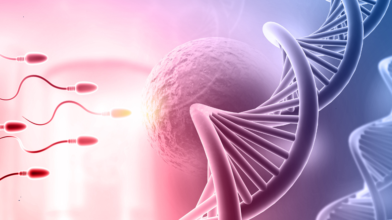 The other half of infertility: Why India can no longer ignore men's ...
