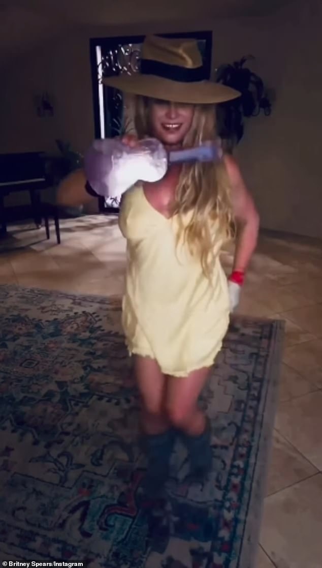 Britney Spears claims a thief stole her wardrobe and money