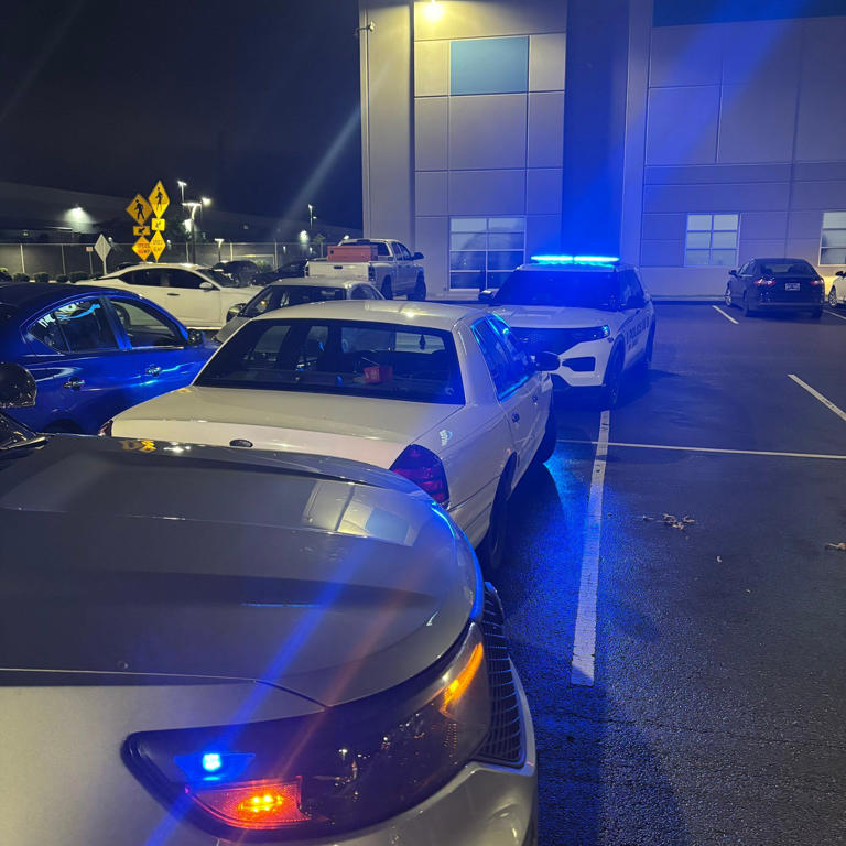 Wanted man arrested in Mt. Juliet after allegedly fleeing traffic stop ...
