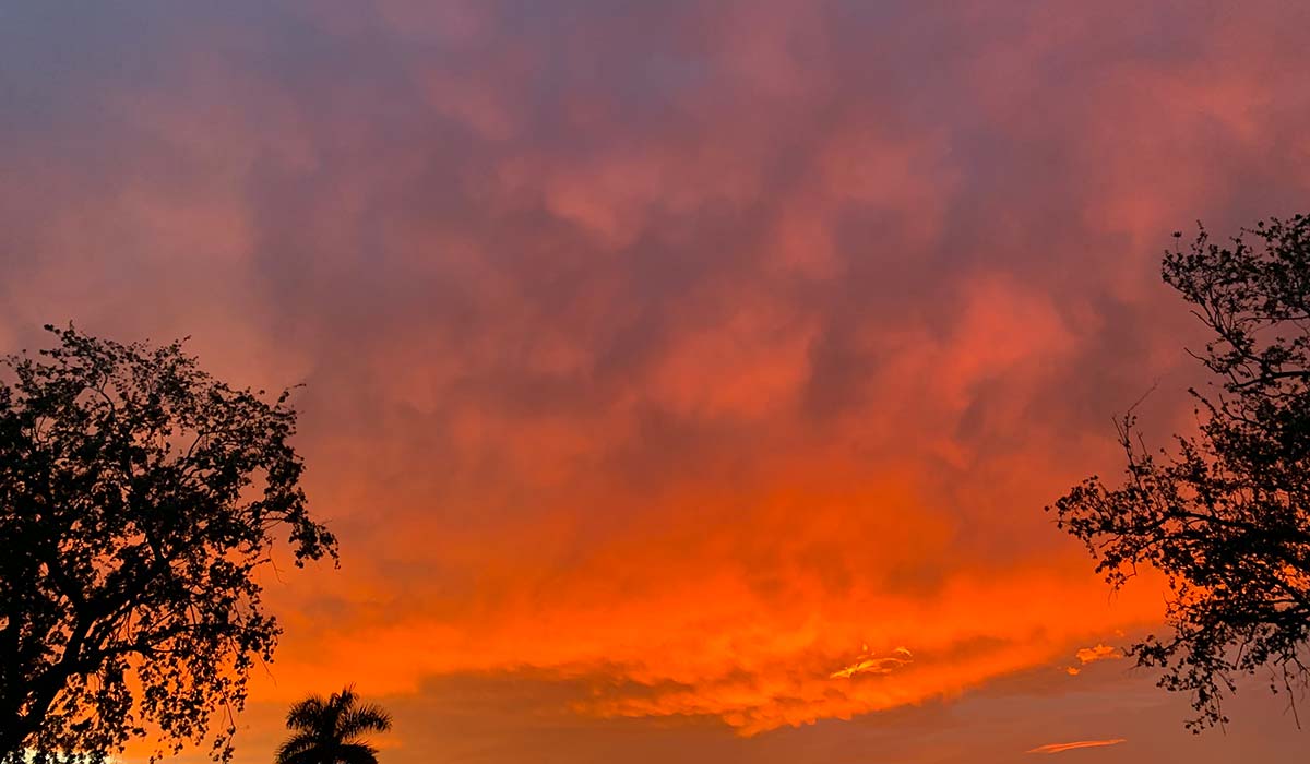 Major warning as Saharan dust with lung-penetrating particles to engulf ...
