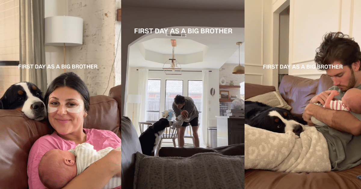 Big dog follows little baby everywhere, watching over him every step of ...