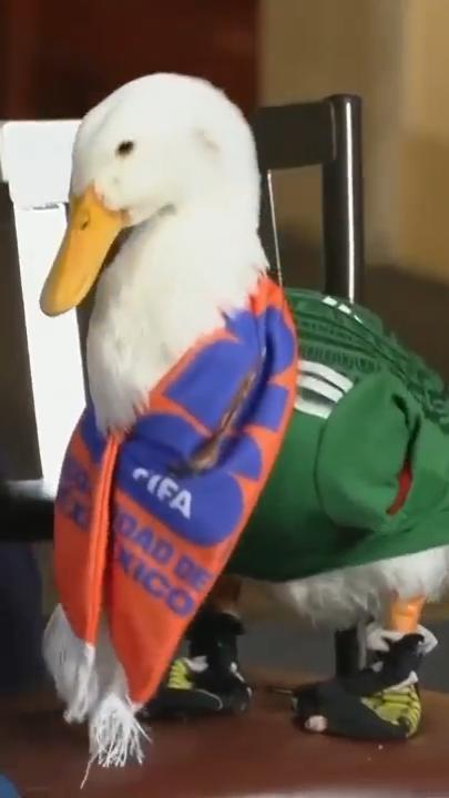 Vertical soccer WC26 Sheinbaum duck mascot