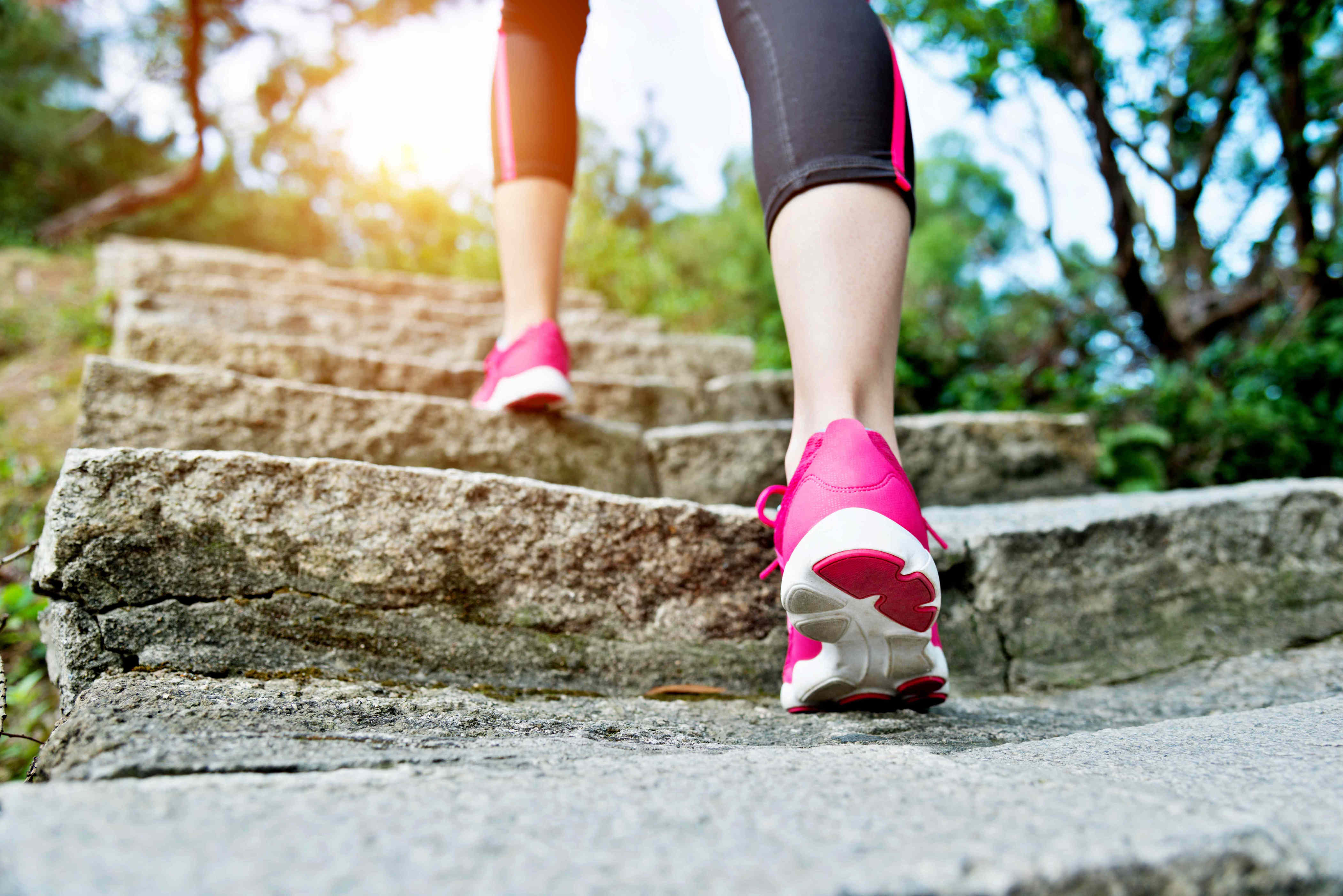Can ‘Pounding the Stairs’ really make your bones stronger? Experts explain
