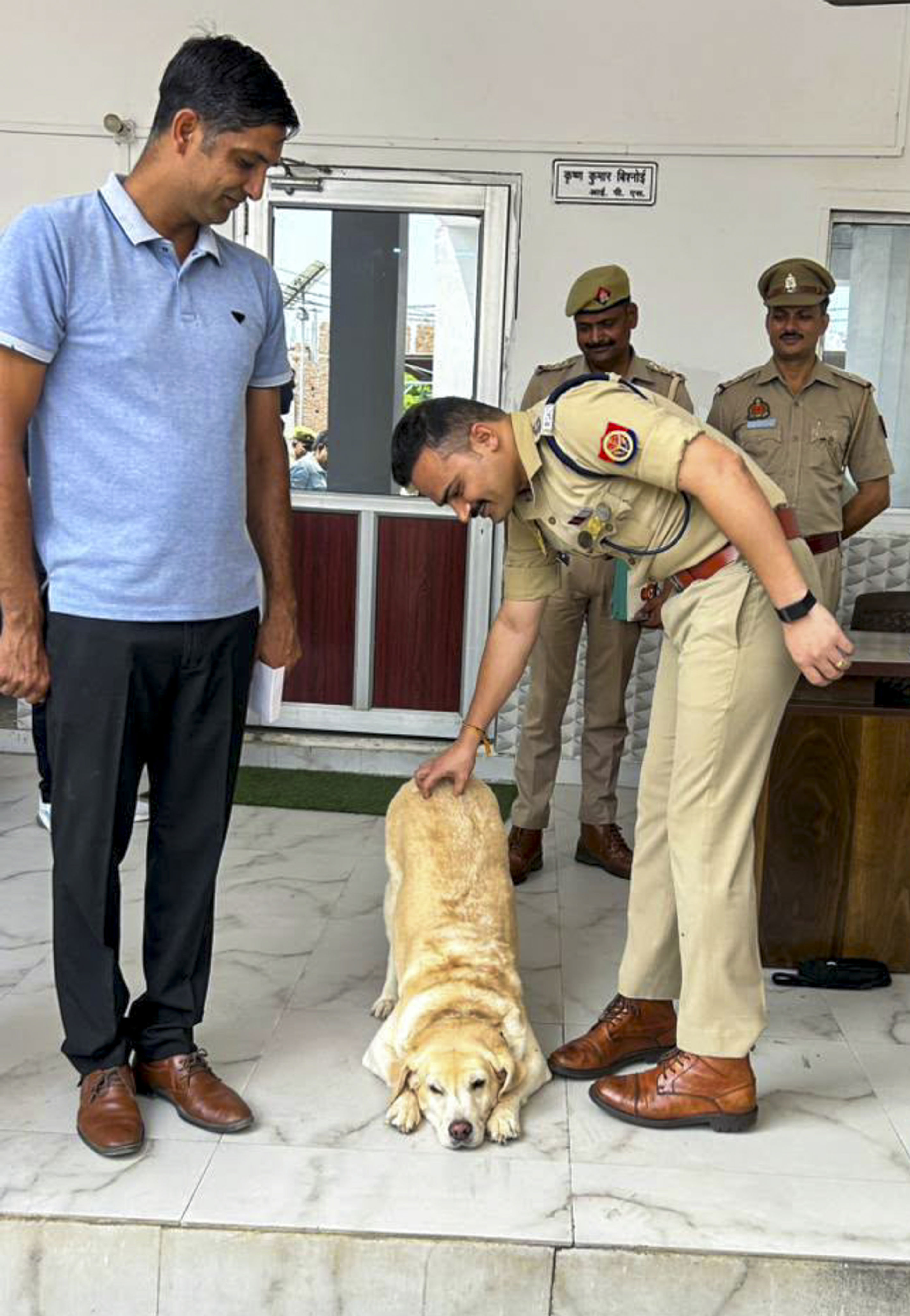 Police dog Mary helps crack case of six-year-old girl's sexual assault ...