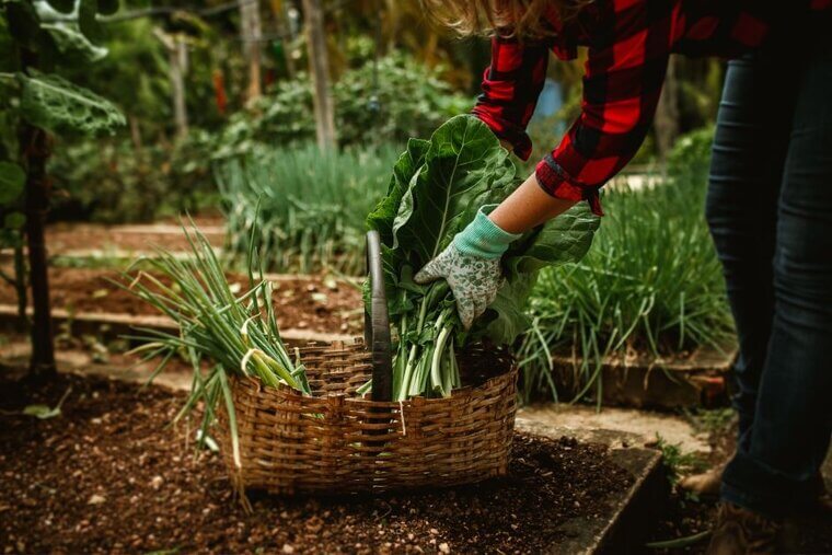 Habits passed down from Depression-era parents that still make perfect ...