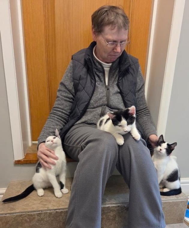 Blue Cross in Kimpton in urgent call for foster carers for pets