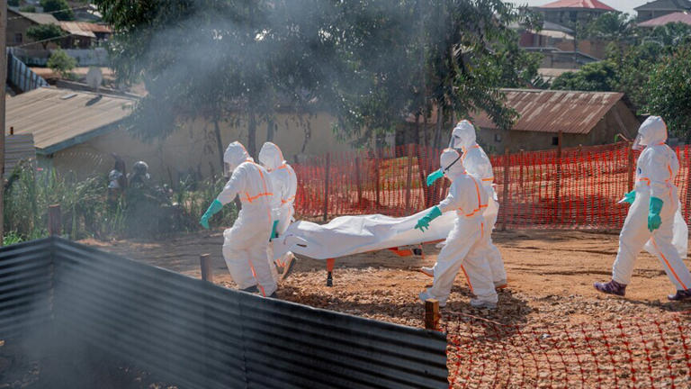 DSÖ: KDC'deki Ebola salgınında 1048 vaka doğrulandı, bunlardan 267'si ...