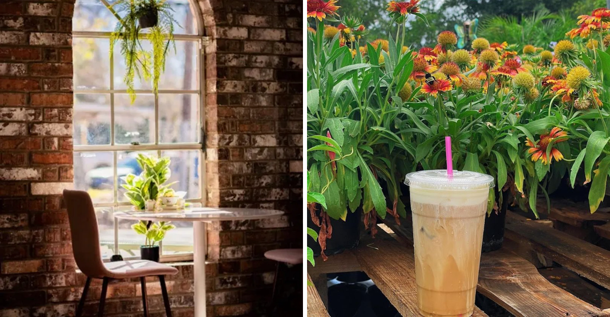 The beautiful dining rooms at this Texas cafe feel like they belong in ...