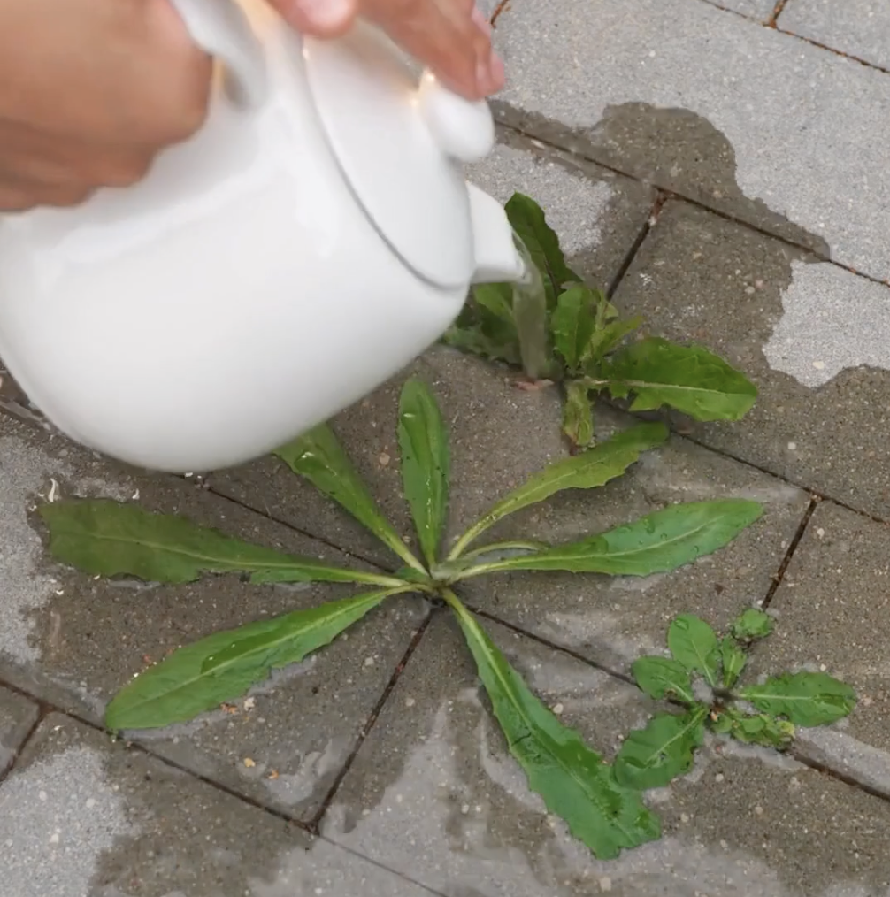 Creative solutions for potholes and cracks