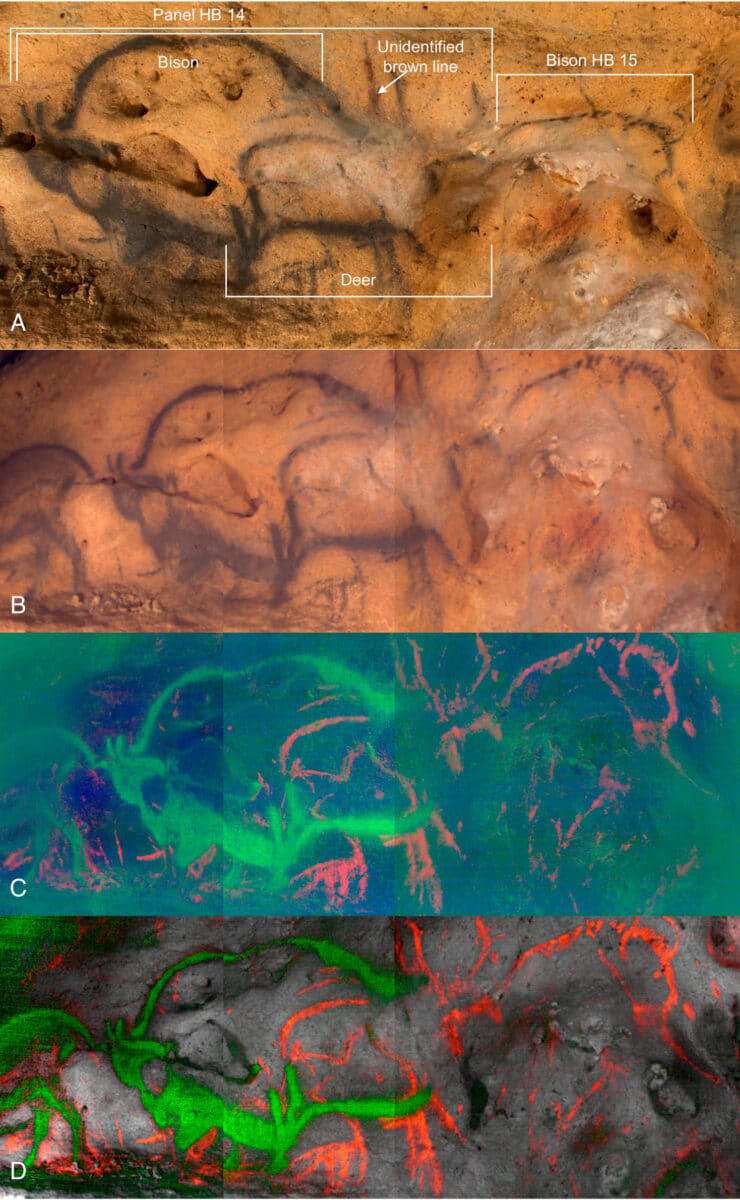 Inside a French cave, scientists uncovered a 16,000-year-old secret ...