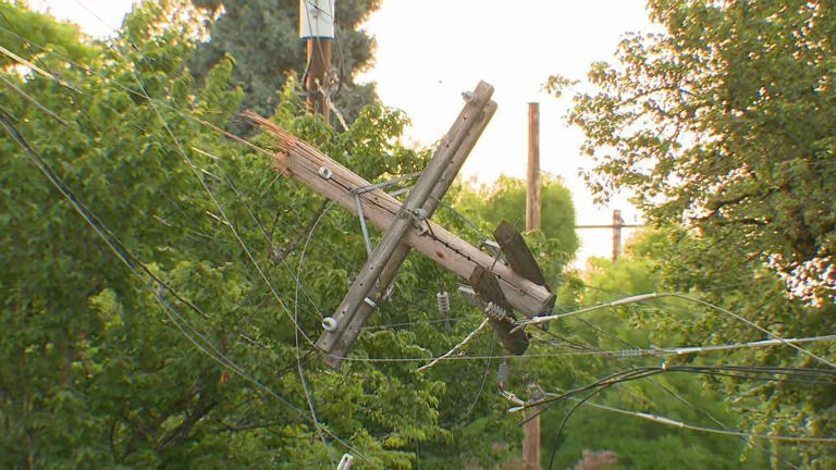 Nearly 5000 PGE customers in the dark after tree falls into power line ...