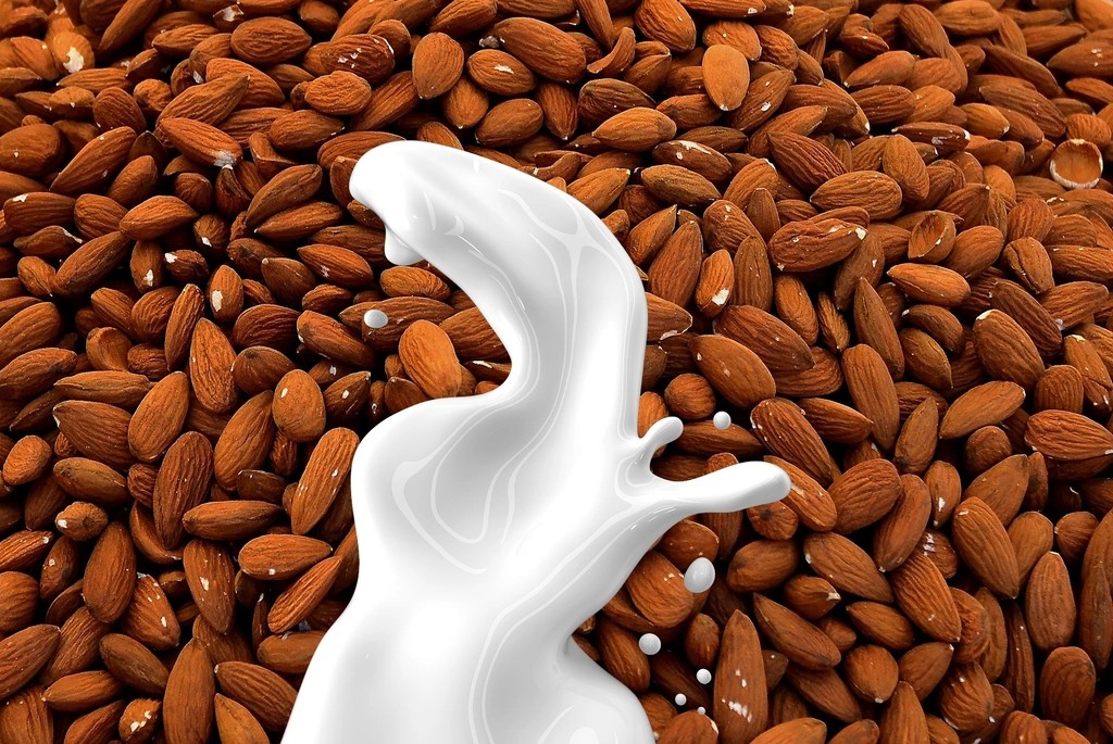 What your milk-alternative choice tells your barista about who you are