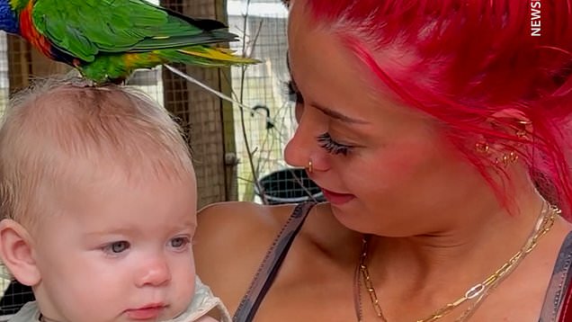 Parrot lands on girl then poop's in mum's mouth