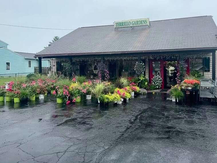 After 7 decades, CNY nursery says goodbye with gardening advice: 'Don't ...