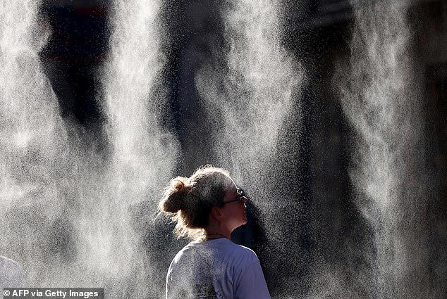 Mum of two kids who died in car in French heatwave forgot about them ...