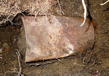 A couple walking their dog stumbled upon an old rusty can, inside were ...