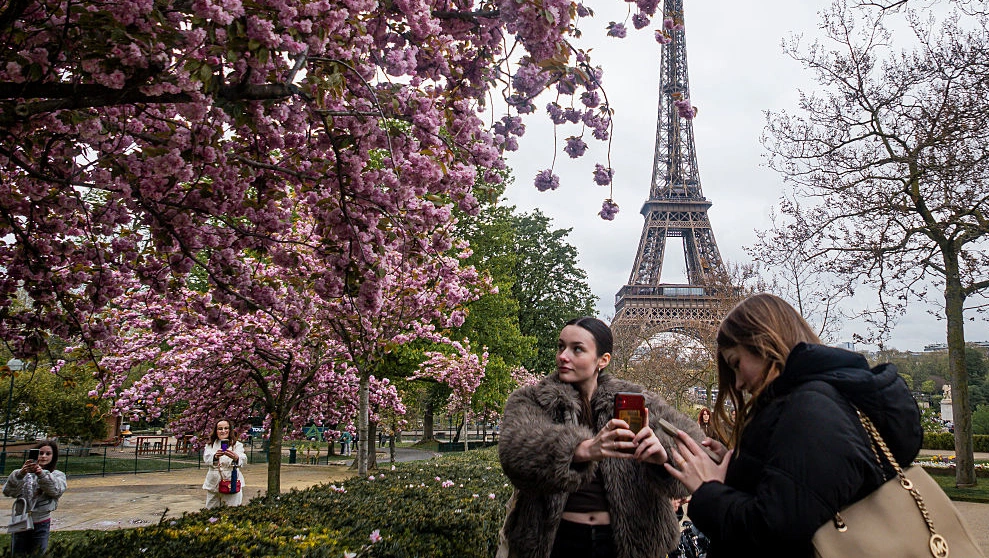 Dogs and iconic Eiffel Tower views