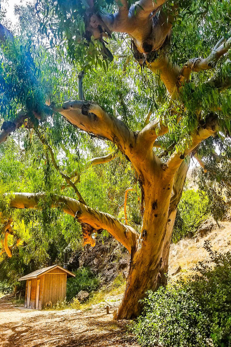 How to visit Channel Islands National Park, CA & what to do [2026 update]
