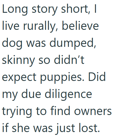 Australian farmer rescues dumped hungry dog from fields, but vets tell ...