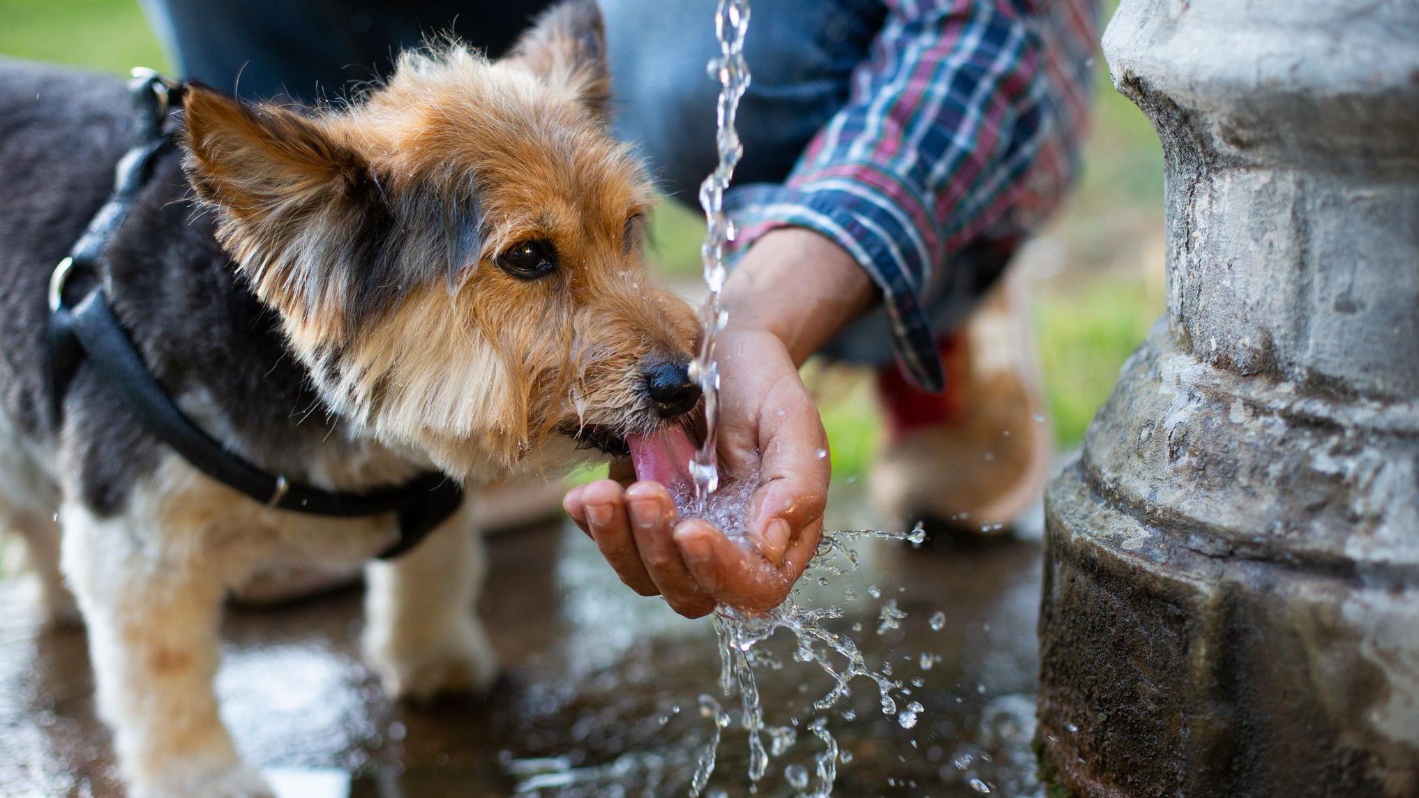 Region braces itself for heat after alert issued
