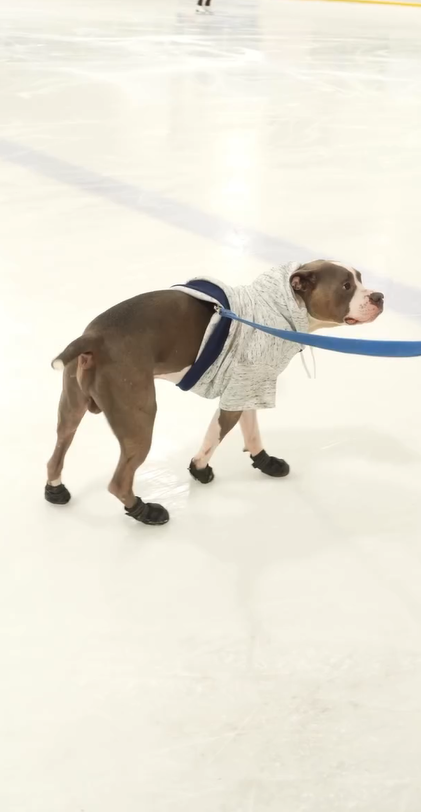 Testing balance and core stability on the ice