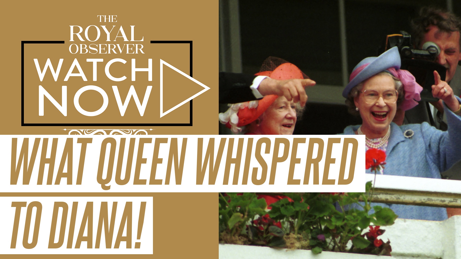 Lip reader reveals Queen Elizabeth's secret message to Diana during her ...