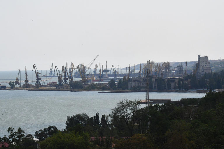 Russia has illegally shipped nearly 90,000 tons of wheat through ...