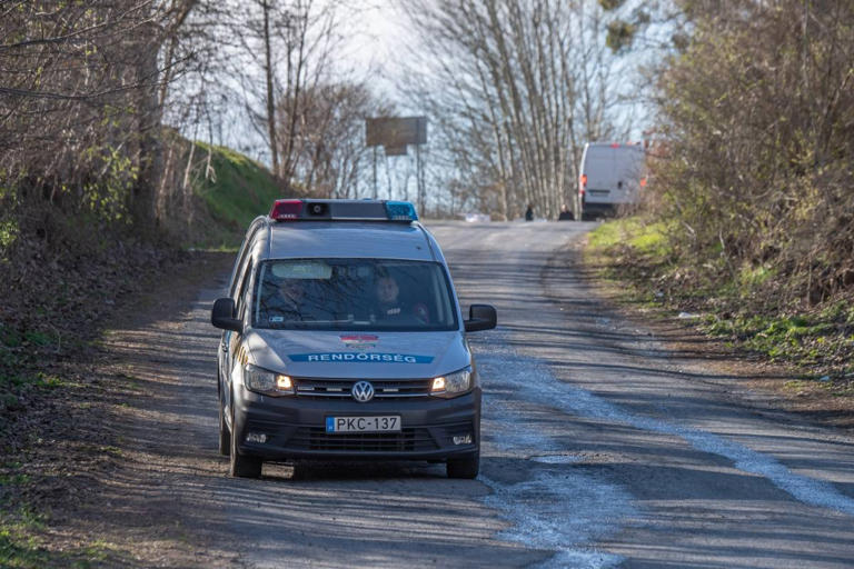 Man arrested in Hungary for collecting human body parts taken from ...