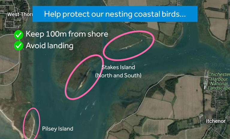 Can you help save our coastal birds? Calling sailors, boaters and ...