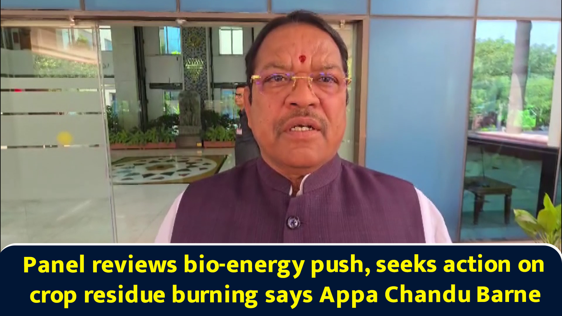 Panel reviews bio-energy push, seeks action on crop residue burning ...