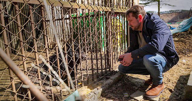 How Jimmy Doherty spent 'untold millions' to build England's best ...