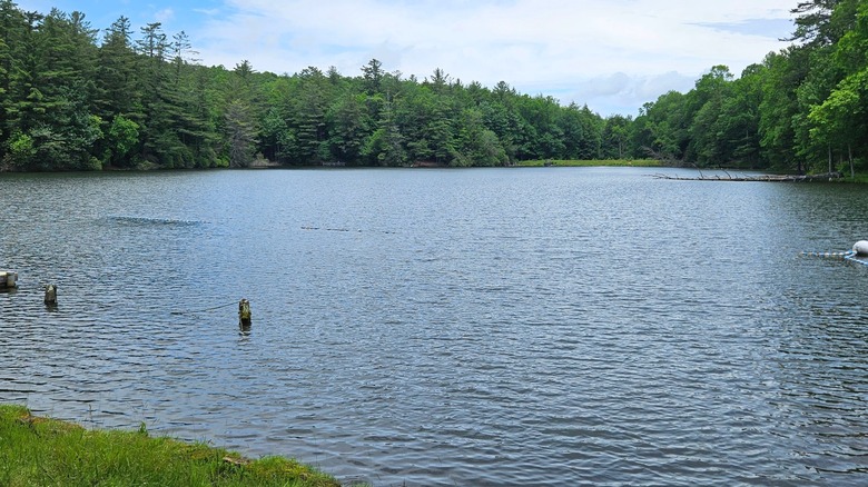 Georgia's high elevation lake is a tranquil escape with swimming ...