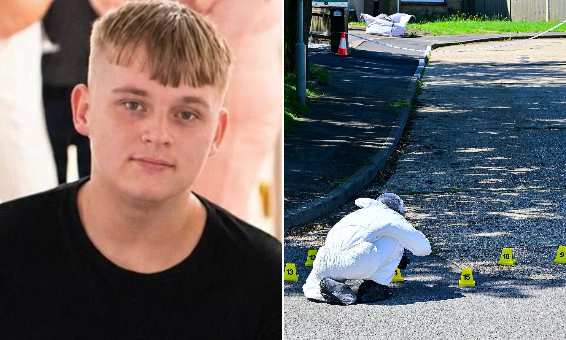 Teenager, 18, is driven near to a hospital after being fatally stabbed