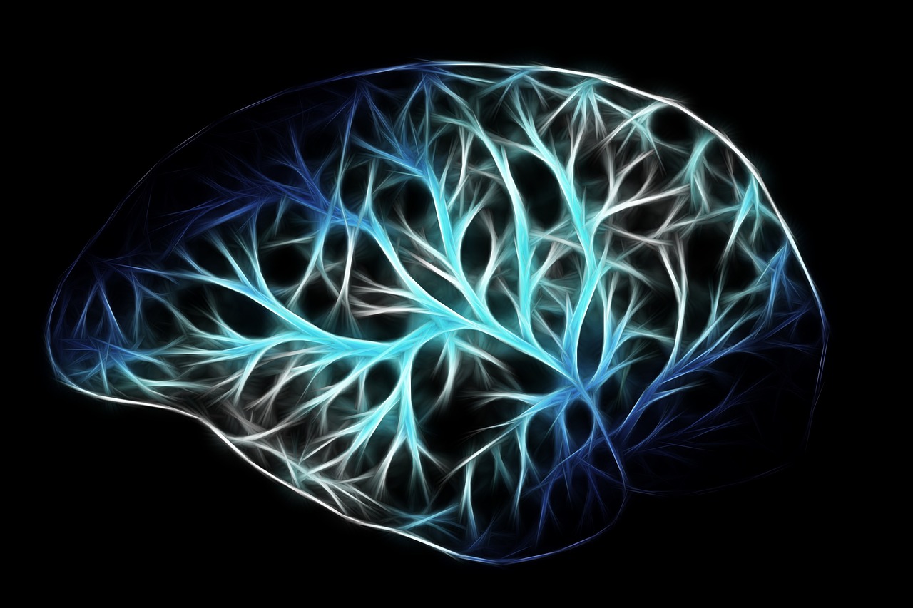 Omega-3 fatty acids and their role in maintaining brain cell membrane ...