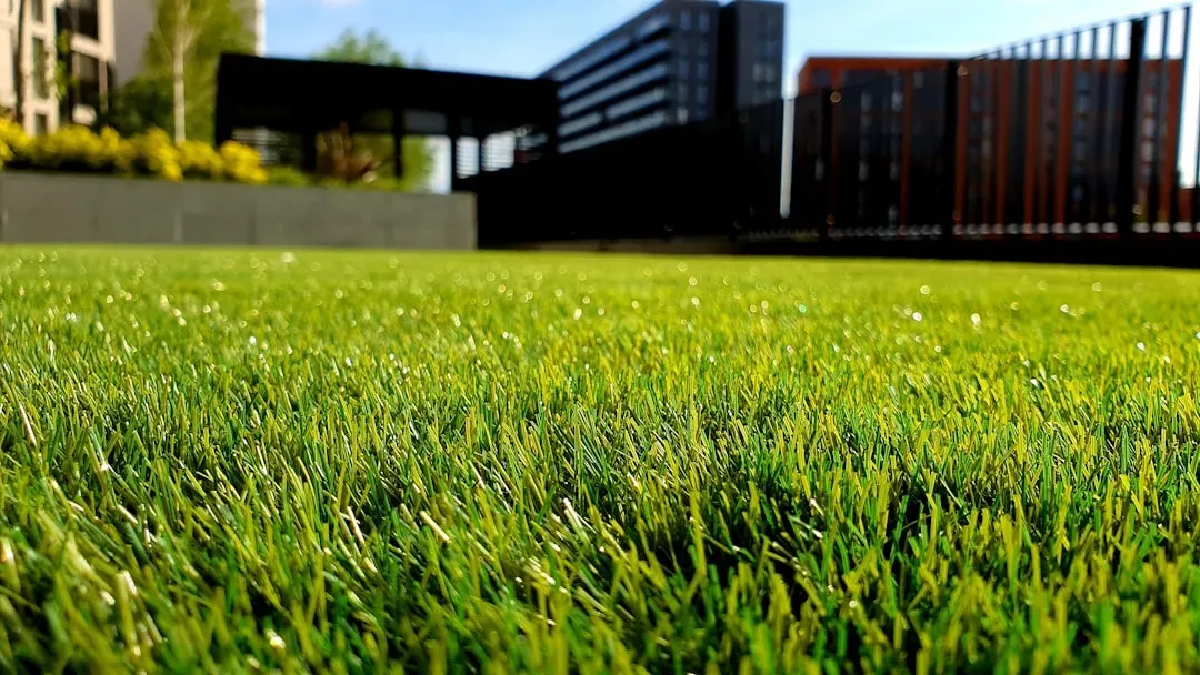 9 lawn care habits neighbours notice immediately - and why they should ...