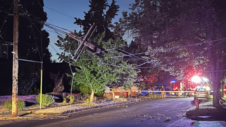 Nearly 5000 PGE customers in the dark after tree falls into power line ...
