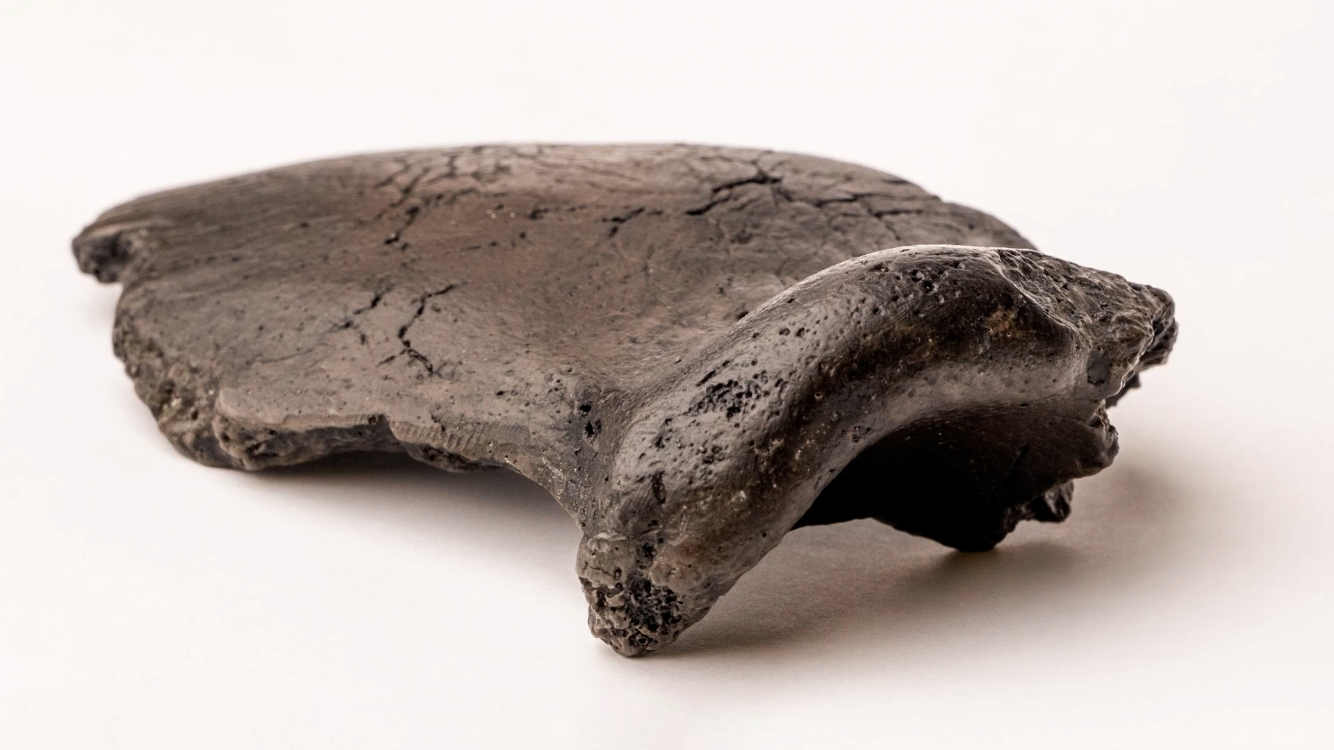 5 greatest archaeological discoveries of 2025 - 140,000-year-old Homo ...