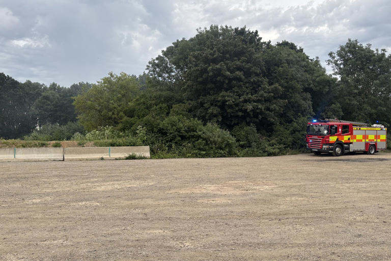 Fire crews respond as trees set alight in Peterborough